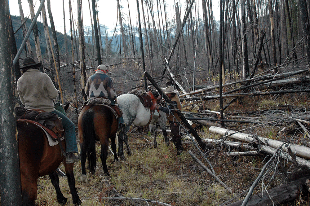 Trail Clearing Program - Willmore Wilderness Foundation