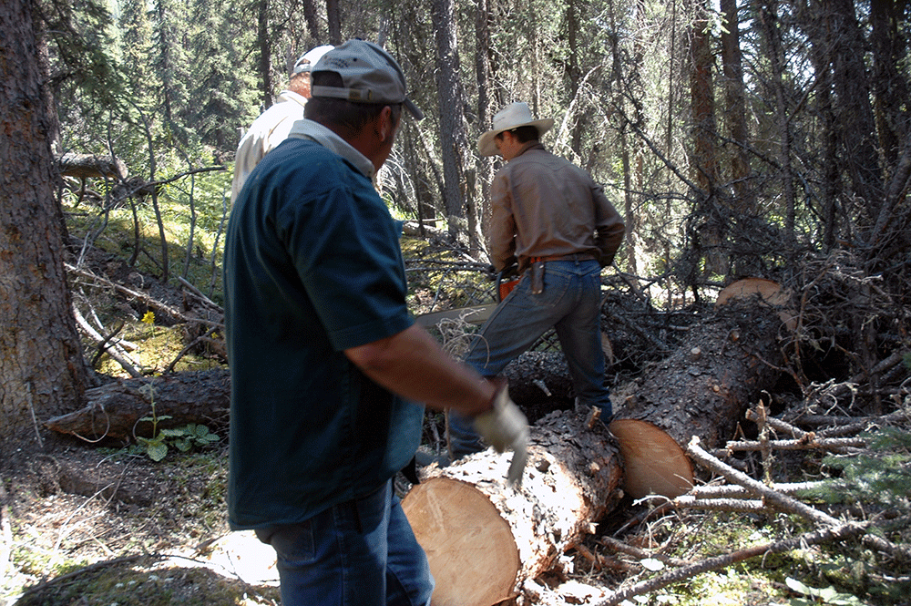 Trail Clearing Program - Willmore Wilderness Foundation