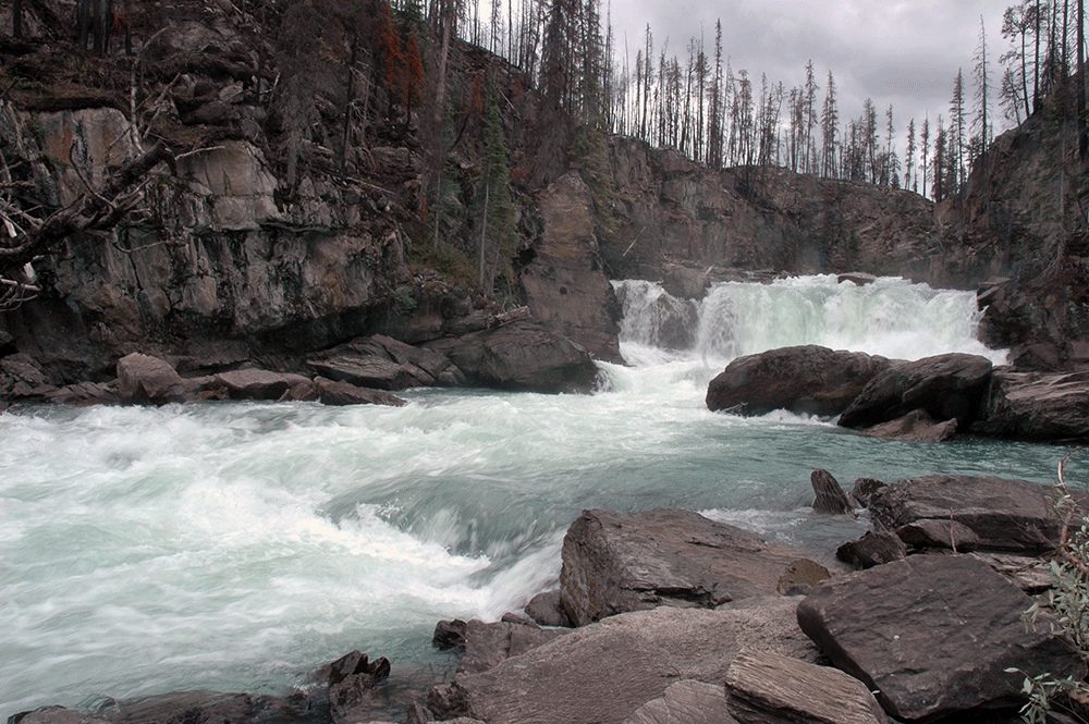 Home - Willmore Wilderness Foundation