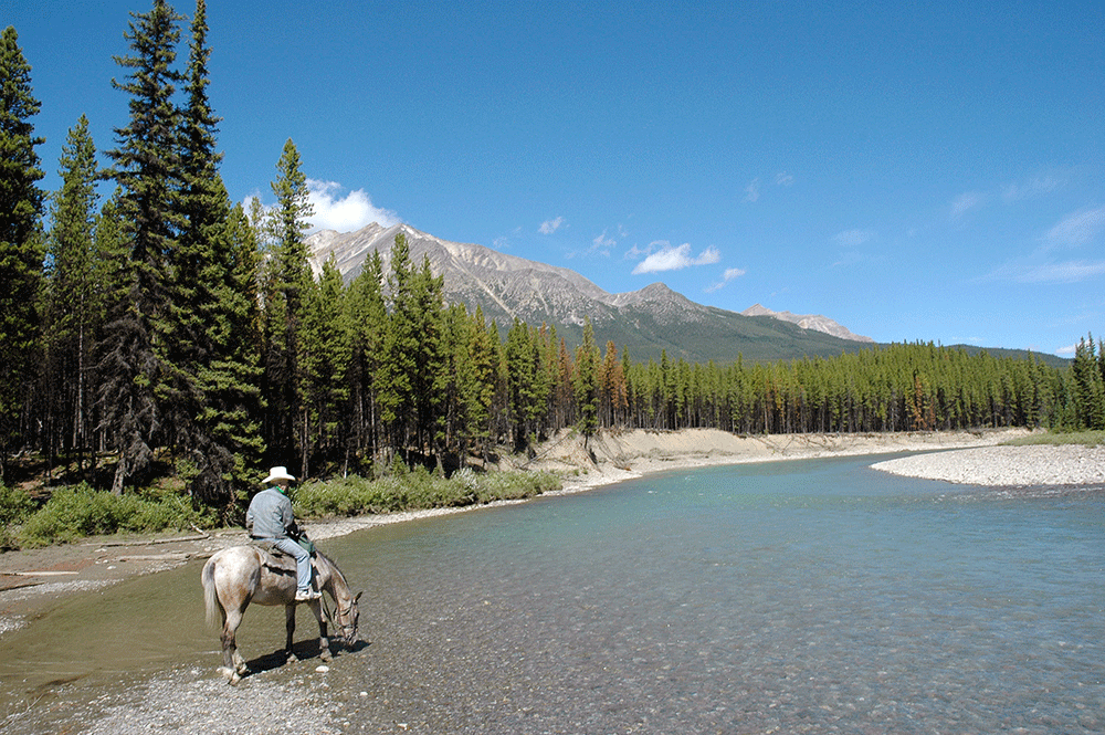 Home - Willmore Wilderness Foundation