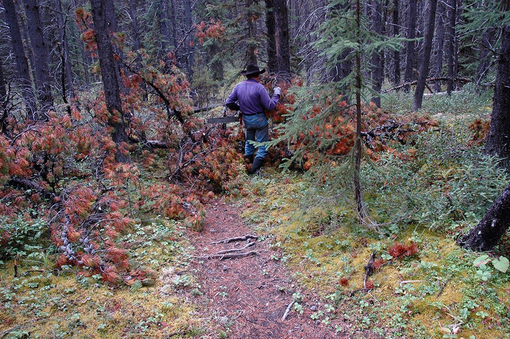 Trail Clearing Program - Willmore Wilderness Foundation