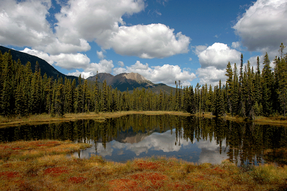 Willmore Wilderness Act - Willmore Wilderness Foundation