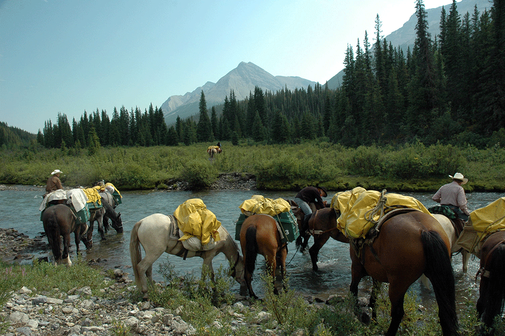 Crossing the Sulphur River in Willmore Wilderness Park - Willmore ...